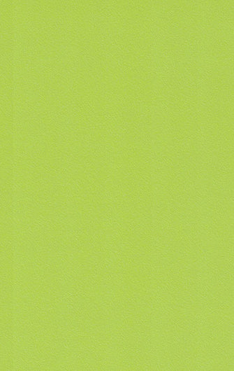423 SFS LIME – Saket Mica