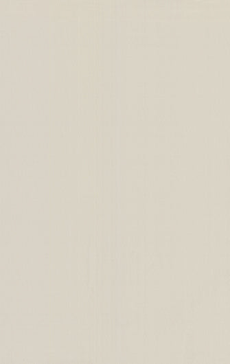 522 HG MESH IVORY – Saket Mica